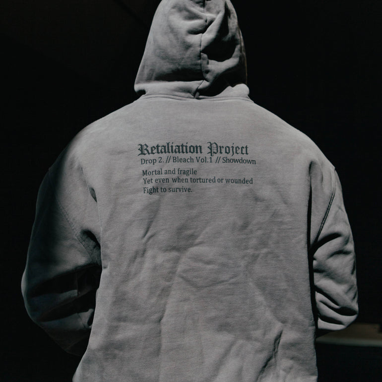 Anime – retaliation project